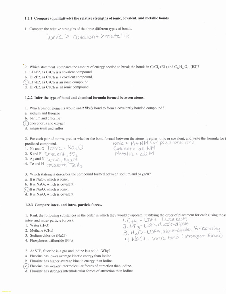 Teaching Transparency Worksheet Free Printable Worksheets ... Teaching Transparency Worksheet Free Printable Worksheets ...