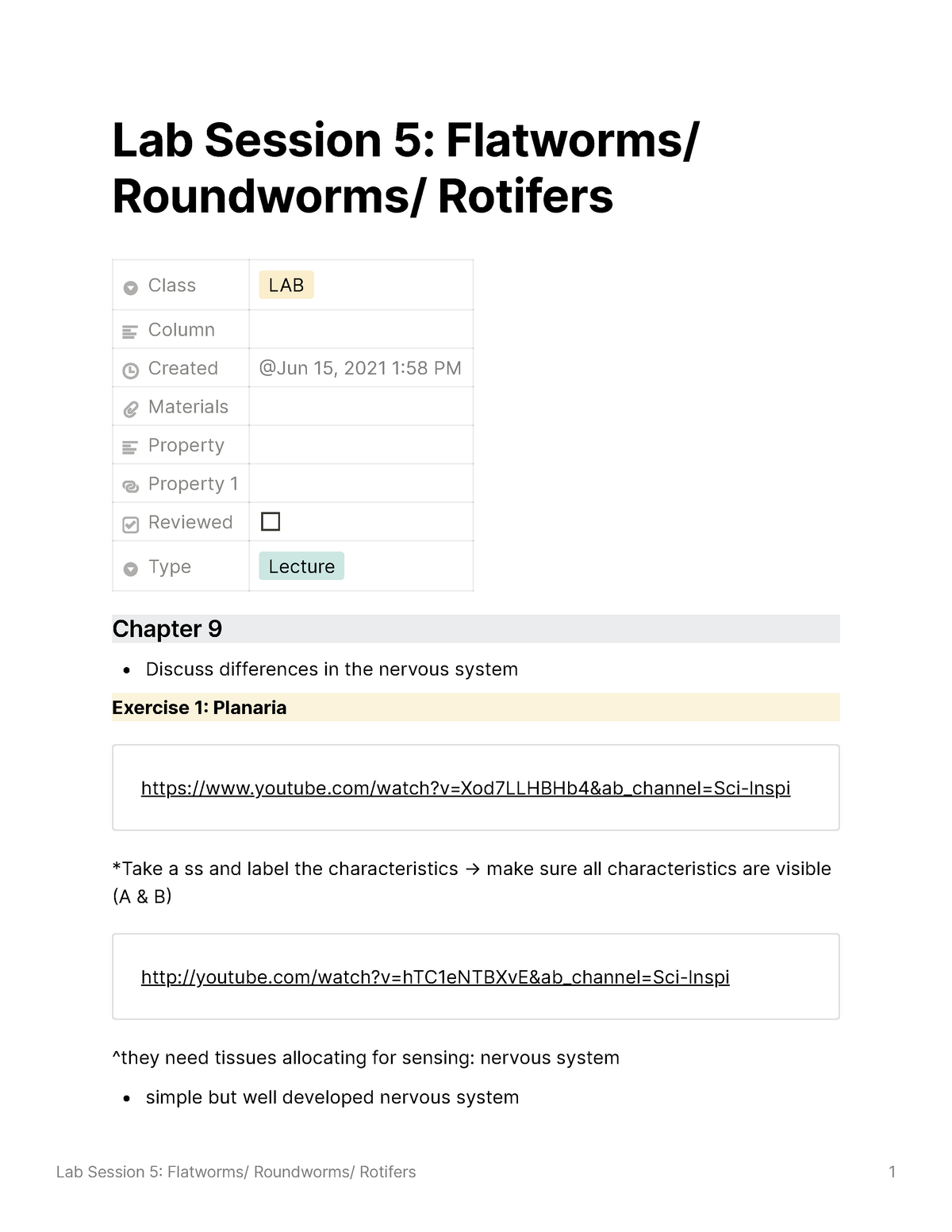 Flatworms Roundworms And Rotifers Skills Worksheet Answers ... Flatworms Roundworms And Rotifers Skills Worksheet Answers ...